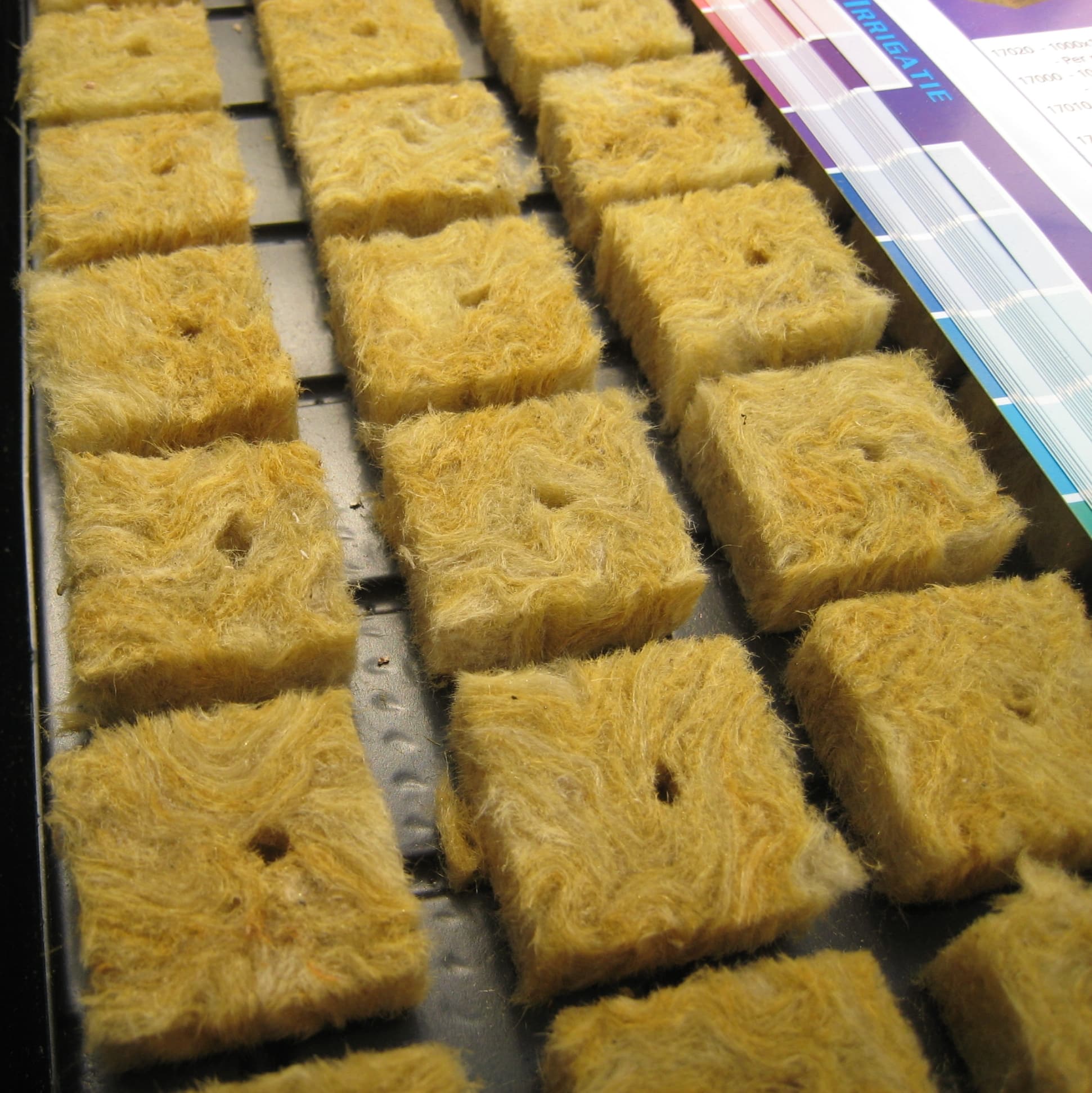 No Soil? No Problem! The History of Hydroponics