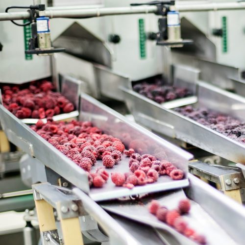 Food Chillers in Process Cooling | North Slope Chillers