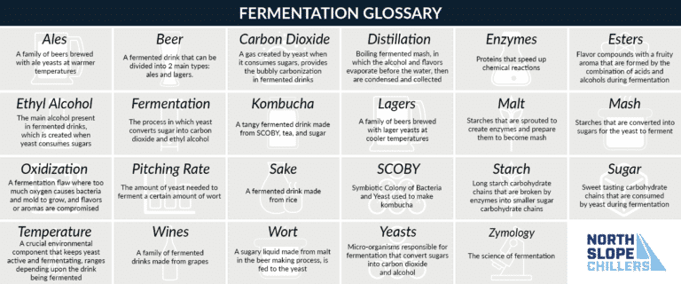 Types of Fermentation in Brewing and Distilling