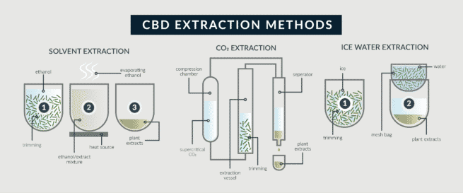 CBD Extraction Crash Course (Everything You Need to Know!)